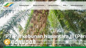 √ 100+ Gaji Karyawan PT Perkebunan Nusantara III (Persero) Semua Jabatan Terbaru [November 2025]